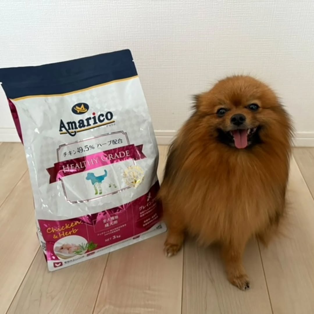 【54-こてつ ちゃん】ドッグフード『Amarico（アマリコ）』の口コミ・わんちゃんの写真 - Amaricoアマリコ【公式】 - グレイン ...